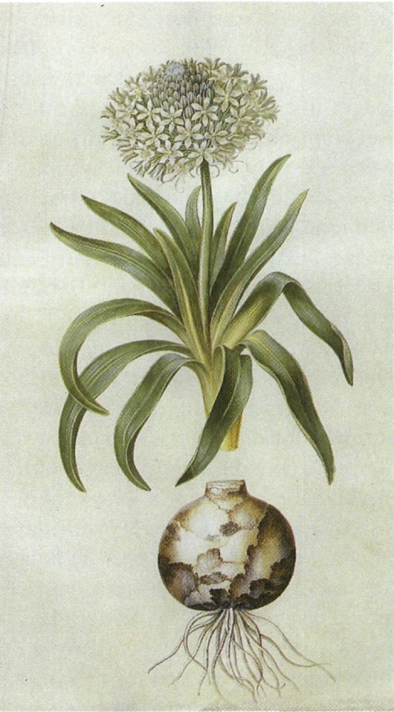 On Every Kind of Laudable Female Person - Nordic Women's Literature